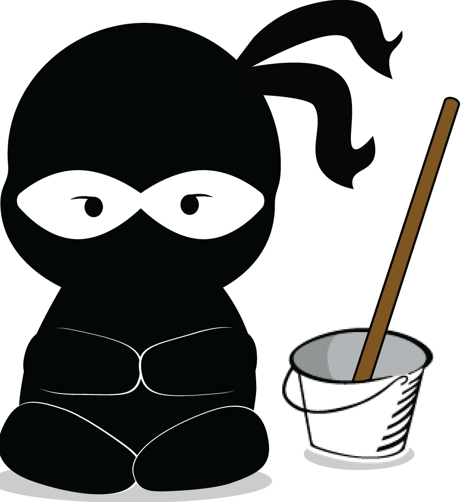 Why Hire Cleaning Ninjas? - House Cleaning Service Provider Omaha